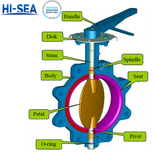 What is Marine Butterfly Valve?