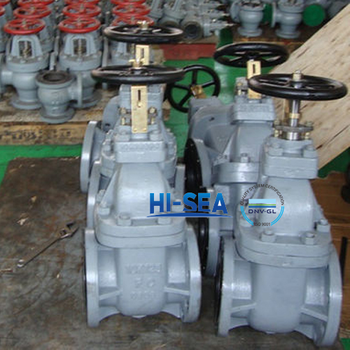 Cast Iron Gate Valve F7363 - JIS 10K