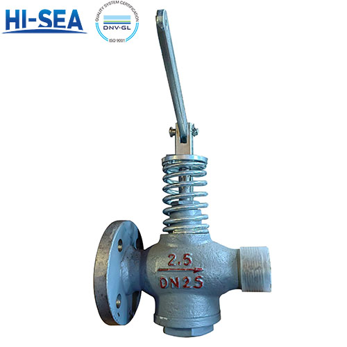 Cast Steel Self Closing Valve