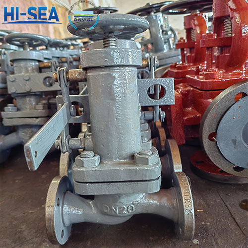 Class150 Quick Closing Valve