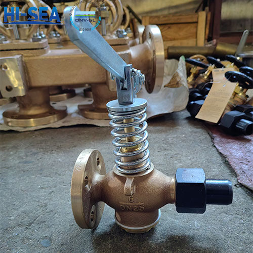 Self Closing Drain Valve