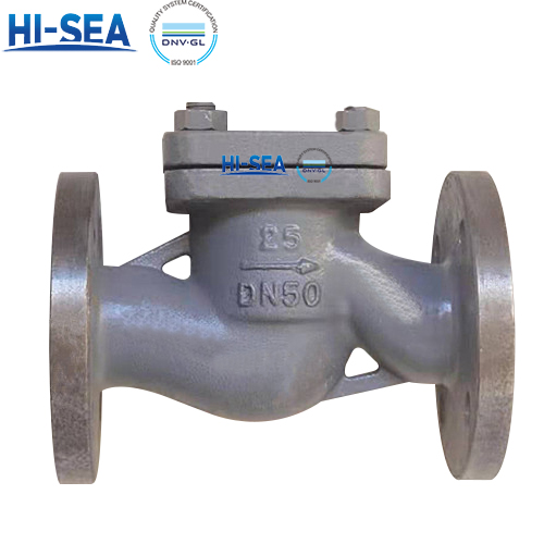 Stainless Steel Check Valve