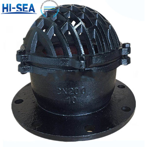 Suction Line Valve 3 Inch Cast Iron Foot Valve NPT - Carbon Steel Water ...