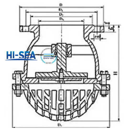 Cast Iron Foot Valve