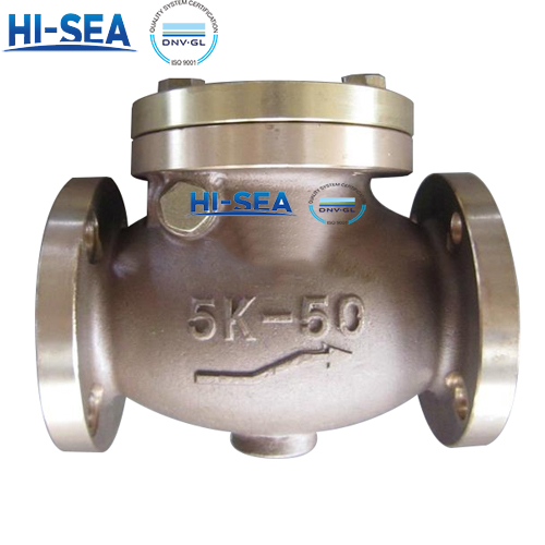 Marine Check Valve