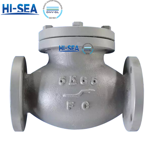 Marine Check Valve