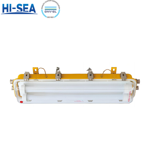 Ex-proof Emergency Ceiling Light