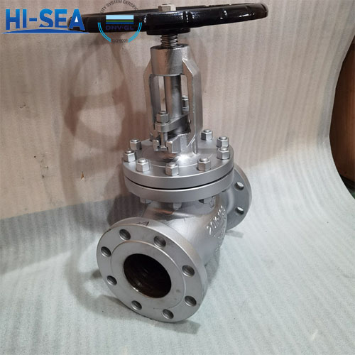Class 300 Globe Valve