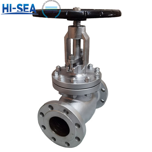 Class 300 Globe Valve