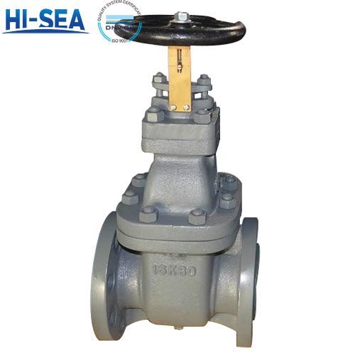 Cast Iron Flanged Gate Valve