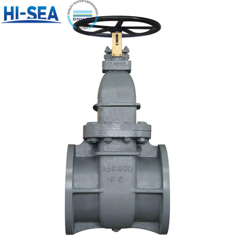 Cast Iron Gate Valve F7369 - JIS 16K