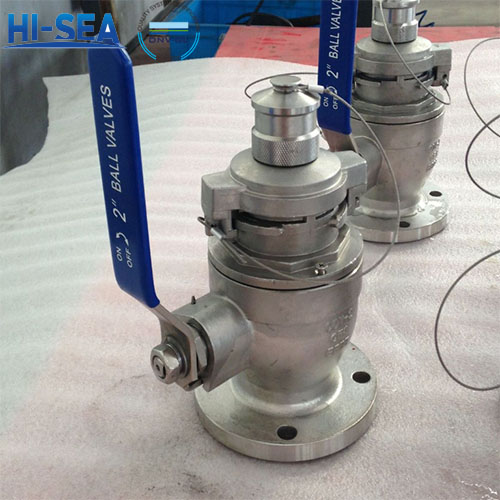 Marine Stainless Steel Float Valve