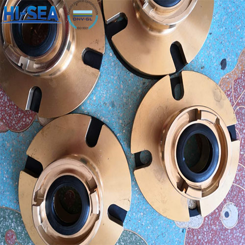 International Quick Shore Connection