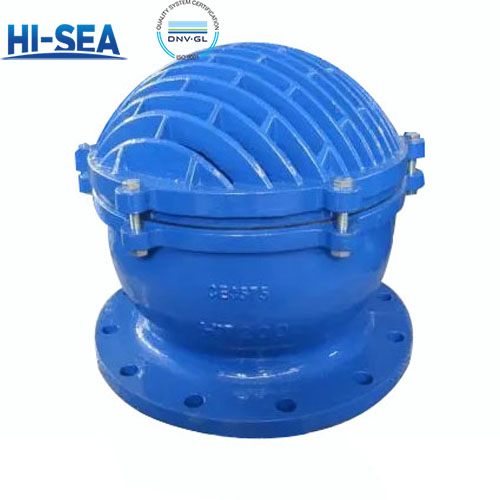 Marine Cast Iron Foot Valve