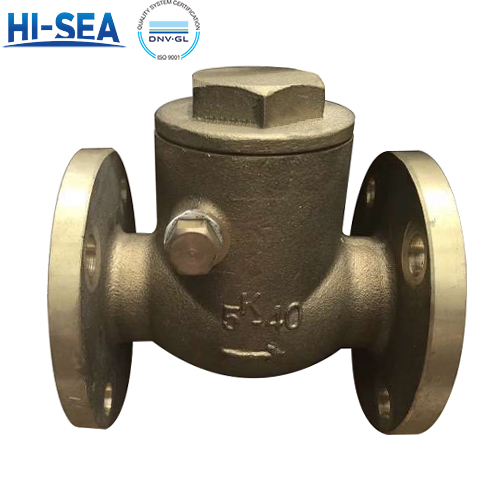Marine Check Valve