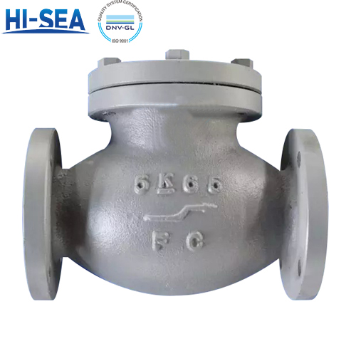 Marine Check Valve
