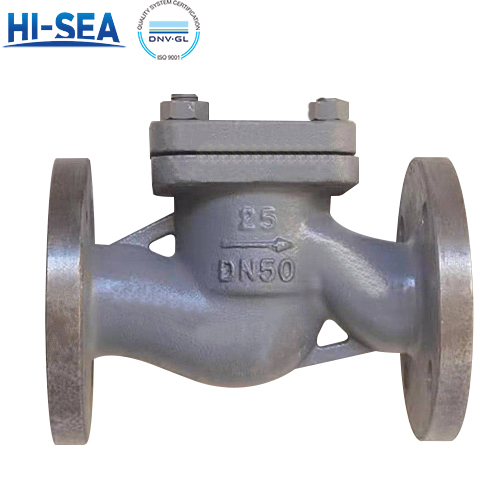 Stainless Steel Check Valve