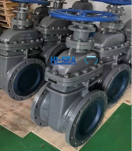 JIS Marine Cast Iron Gate Valve 5K 10K 16K
