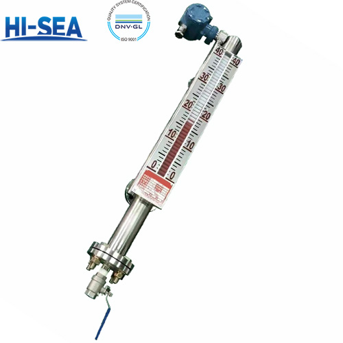 DN20 Magnetic Level Gauge