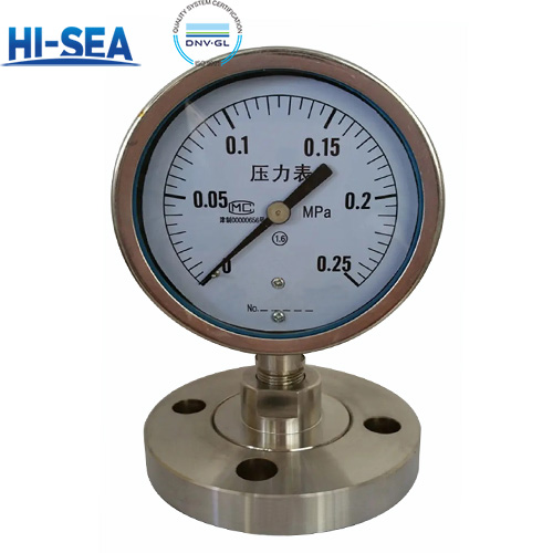 DN60 Pressure Gauge