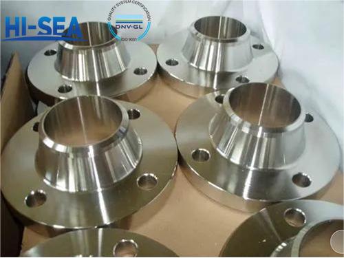 ANSI Class 300 Flange